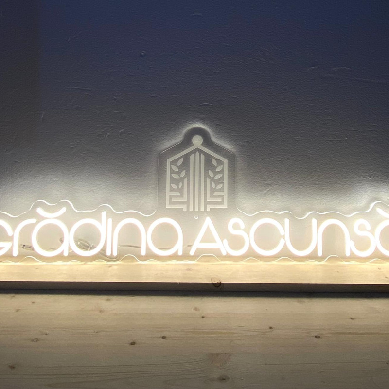 artLEDistic proiect: Gradina Ascunsa - artLEDistic.com