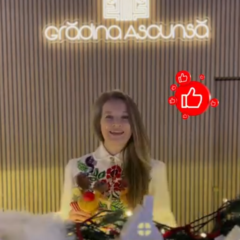 artLEDistic proiect: Gradina Ascunsa - artLEDistic.com