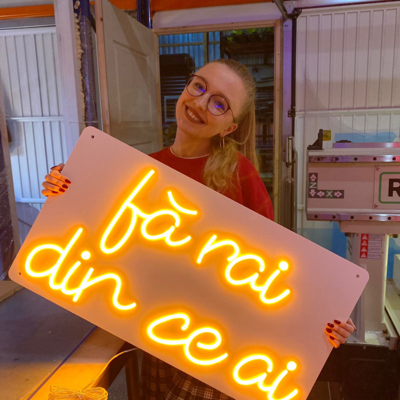 artLEDistic proiect: fa rai din ce ai - artLEDistic.com